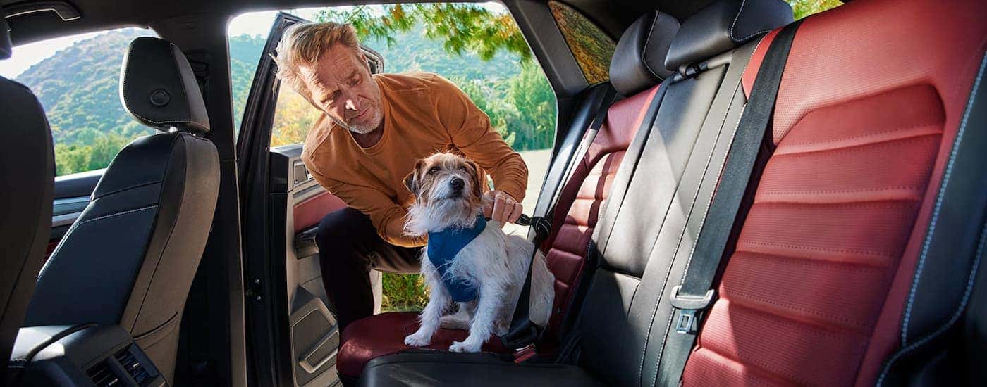 Certified VW Dealer | Used Vehicles for Sale near Burien, WA