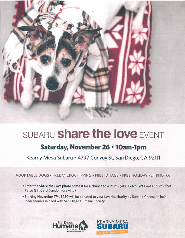 Check out the Pet Adoption Event at Kearny Mesa Hyundai! | Kearny Mesa ...