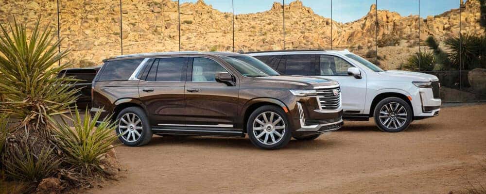 2021 Cadillac Escalade Trim Levels | Robert Basil Cadillac